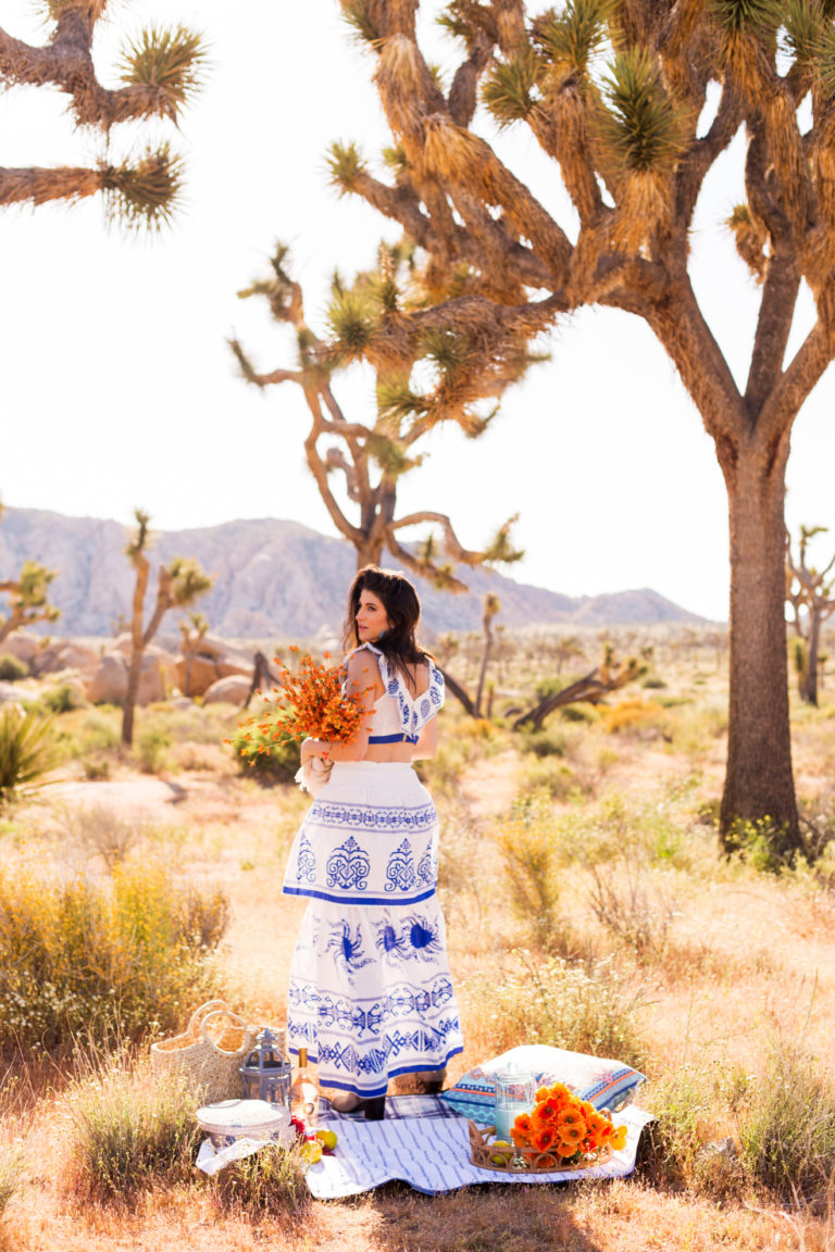 A Moroccan Picnic in the Desert - Summer Picnics | Laura Lily