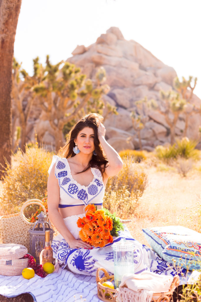 A Moroccan Picnic in the Desert - Summer Picnics | Laura Lily